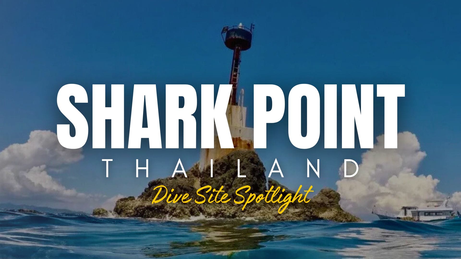 Shark Point Dive Site: The Dive Everyone’s Talking About